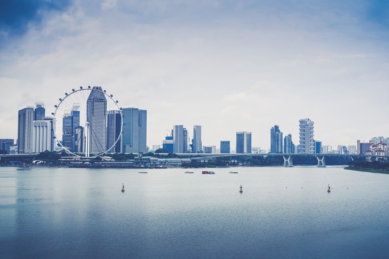 Singapore’s Venture Capital Scene – Insignia Business Review
